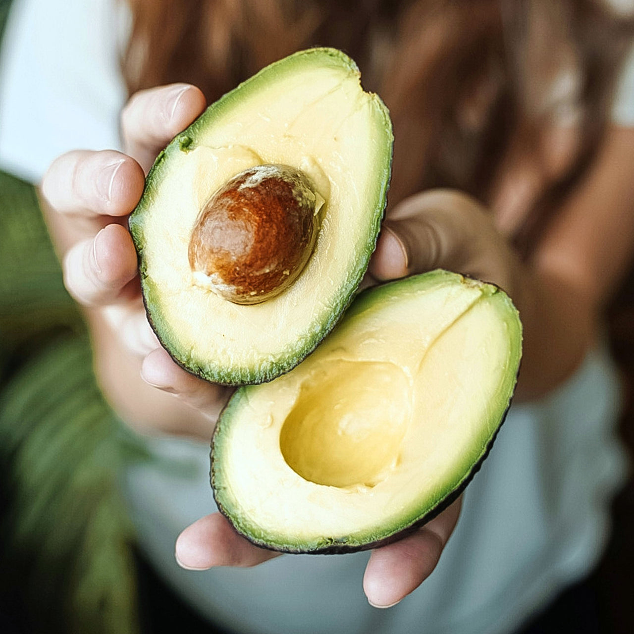 Wow! Wow! WAO explains the amazing health benefits of Avocados. A real ...