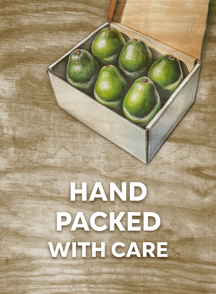 California Avocados Direct – California Avocados Direct