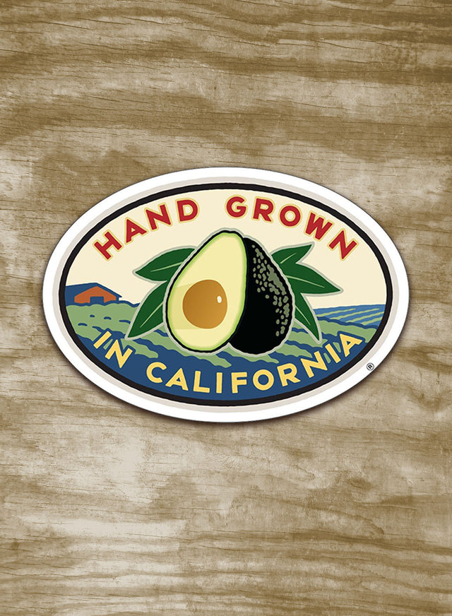 California Avocados Direct – California Avocados Direct