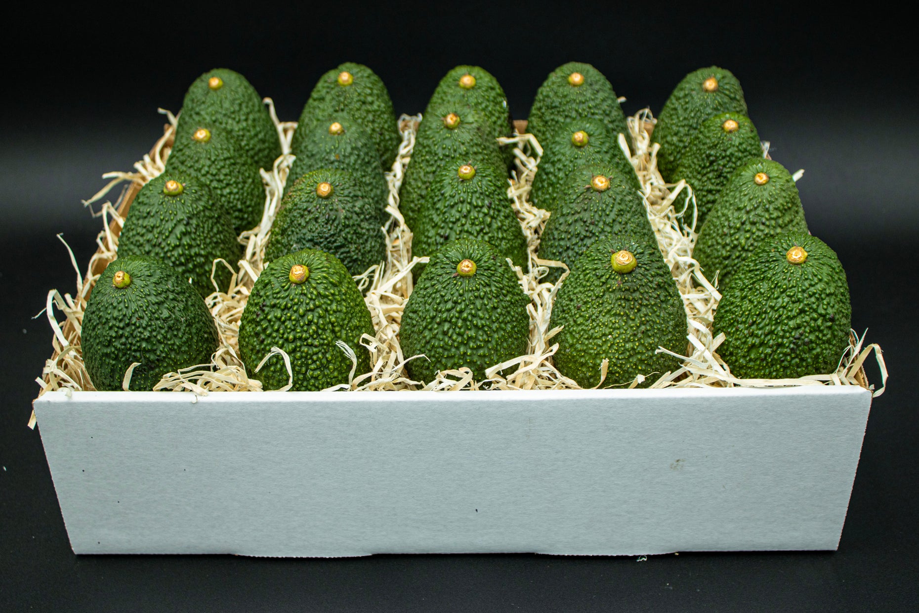 Avocado Gift Boxes – California Avocados Direct