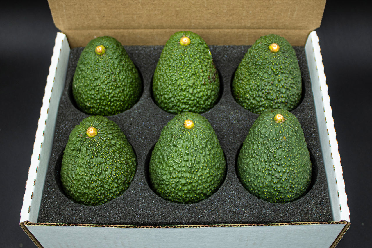 Avocado Gift Boxes – California Avocados Direct