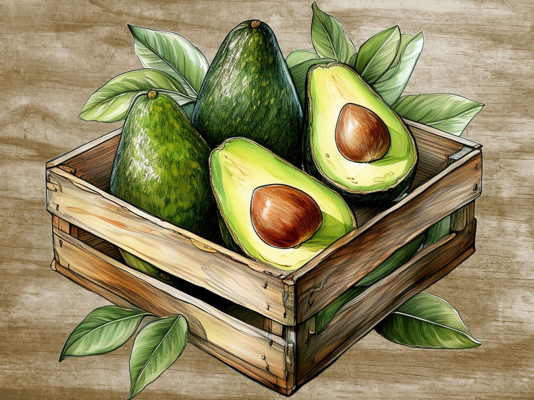 California Avocados Direct – California Avocados Direct