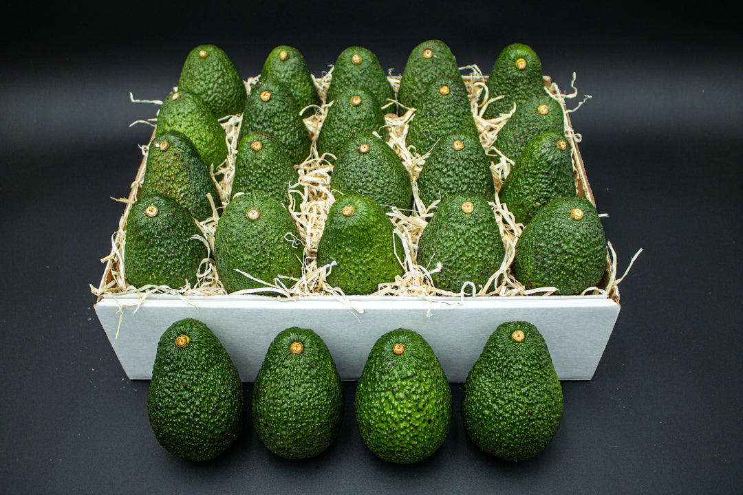 Avocado Gift Boxes – California Avocados Direct