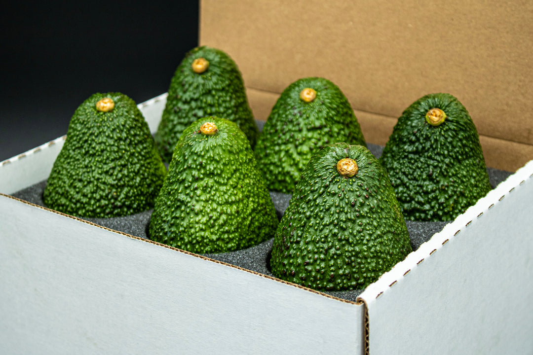 All Products – California Avocados Direct