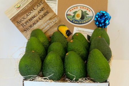 12 Large Hass Avocados - Farmers Dozen – California Avocados Direct