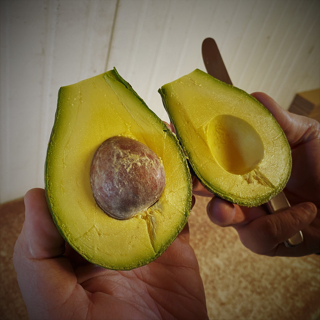 6 Nabal Avocados - A Rare Variety not found in stores – California ...